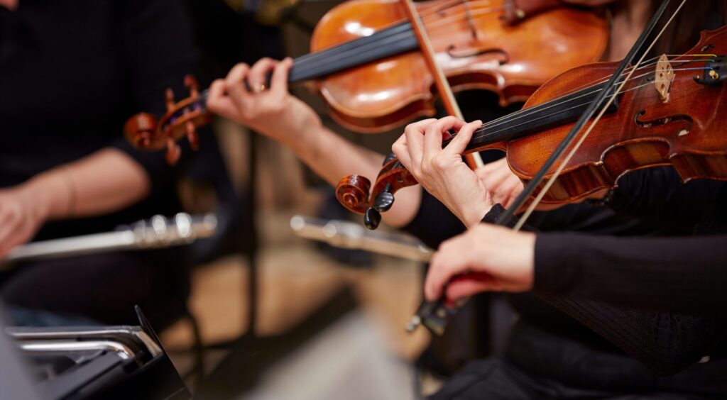 Fine European Violins for Sale | Authenticated Collection