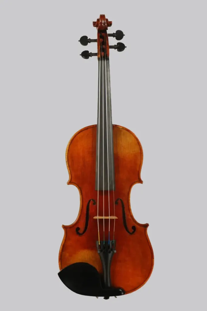 Fine European Violins for Sale | Authenticated Collection